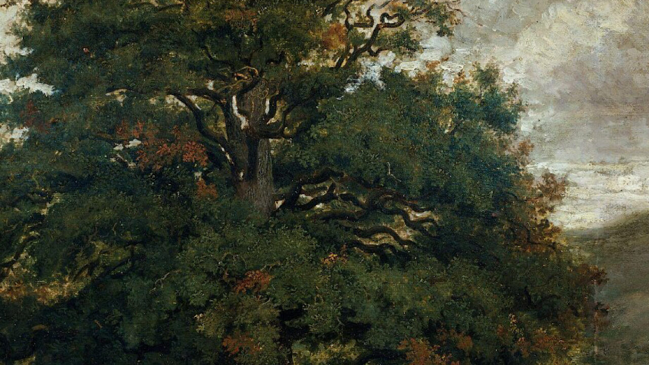 Theodore Rousseau Paintings Théodore Rousseau (1812 1867)